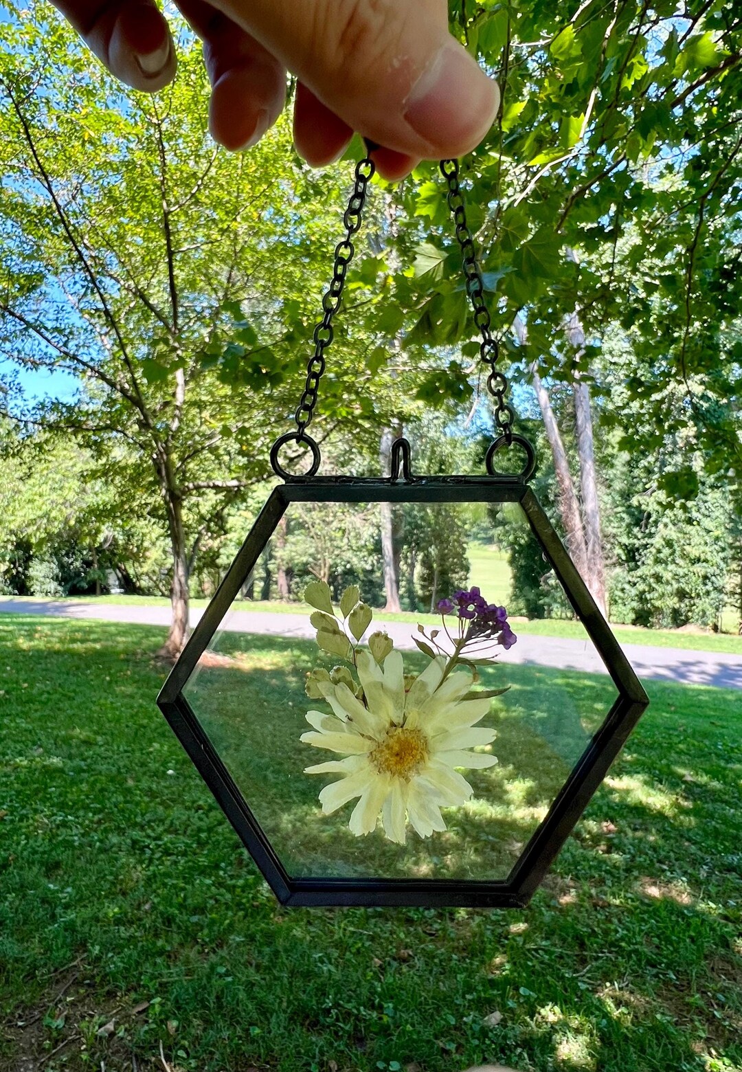 Small Pressed Flower Frame, Hanging Glass Decor, Wall Decor, Botanical ...