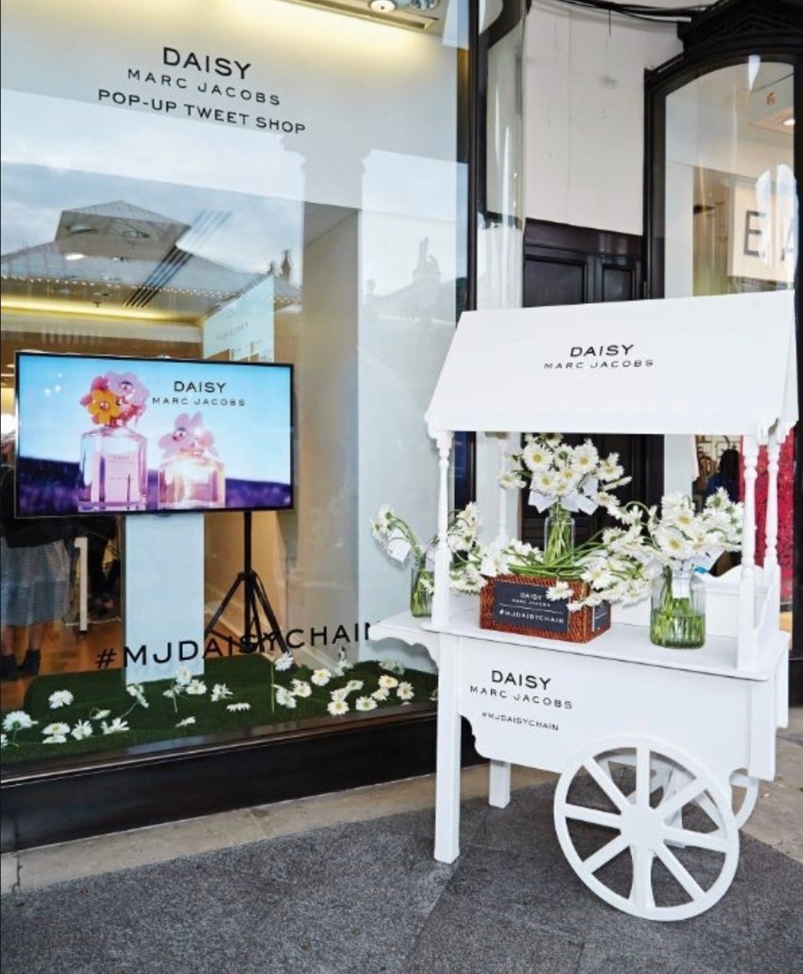 Candy Cart for Sale Wedding Sweet Cart Fully Collapsible - Etsy