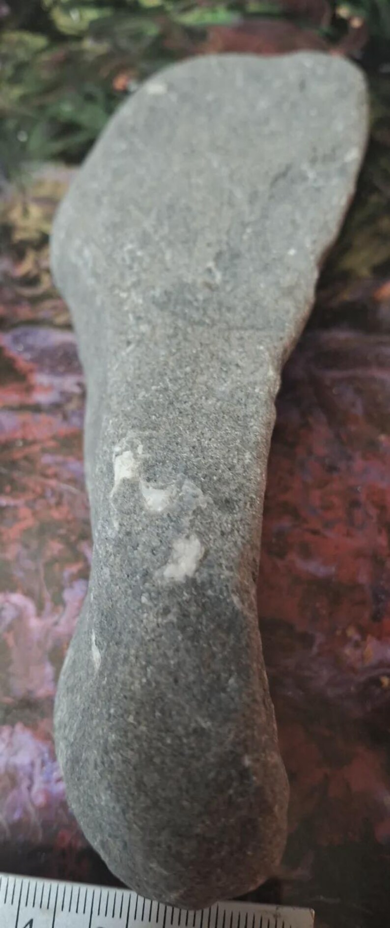 Authentic Prehistoric Stone Celt - Ancient Woodworking Tool ...