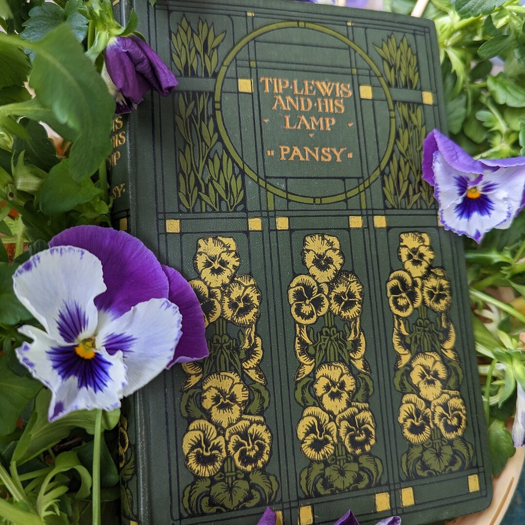 1915* Tip Lewis and His Lamp by "pansy" Isabella Macdonald Alden Rare ...