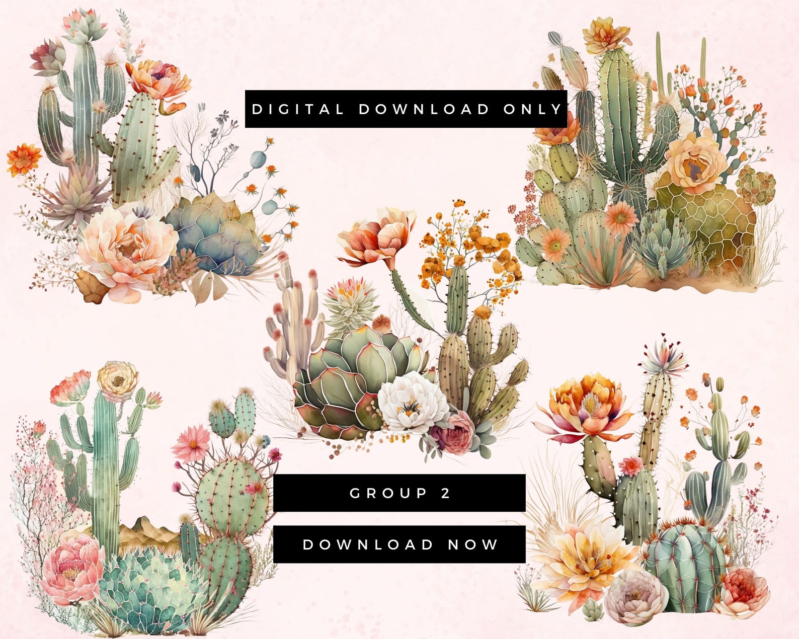 20 PNG Watercolor Cactus Floral Clip Art Bundle | Cactus PNG | Cacti ...
