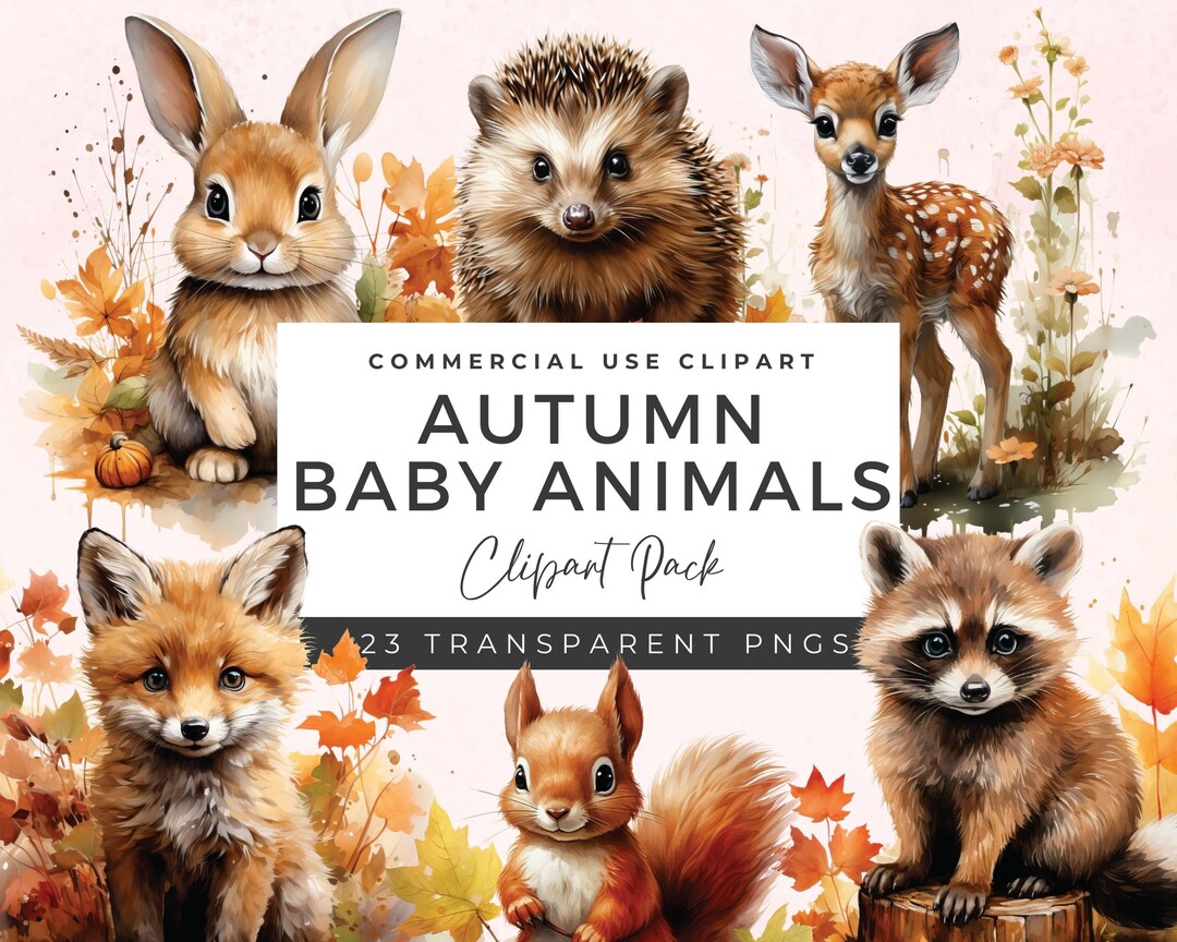 Cute Fall Animal Clipart Bundle | Woodland Animal Clipart | Autumn ...