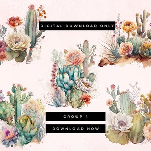 20 PNG Watercolor Cactus Floral Clip Art Bundle | Cactus PNG | Cacti ...
