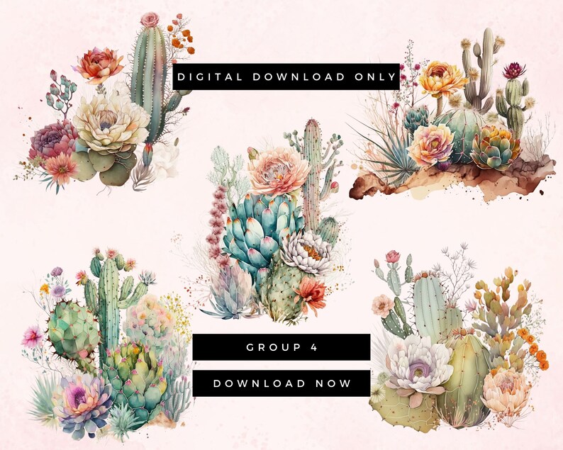 20 PNG Watercolor Cactus Floral Clip Art Bundle | Cactus PNG | Cacti ...