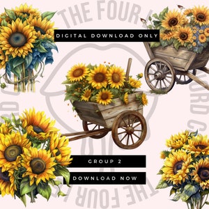 24 PNG Watercolor Sunflower Clipart Bundle | Sunflower Clipart | Boho ...