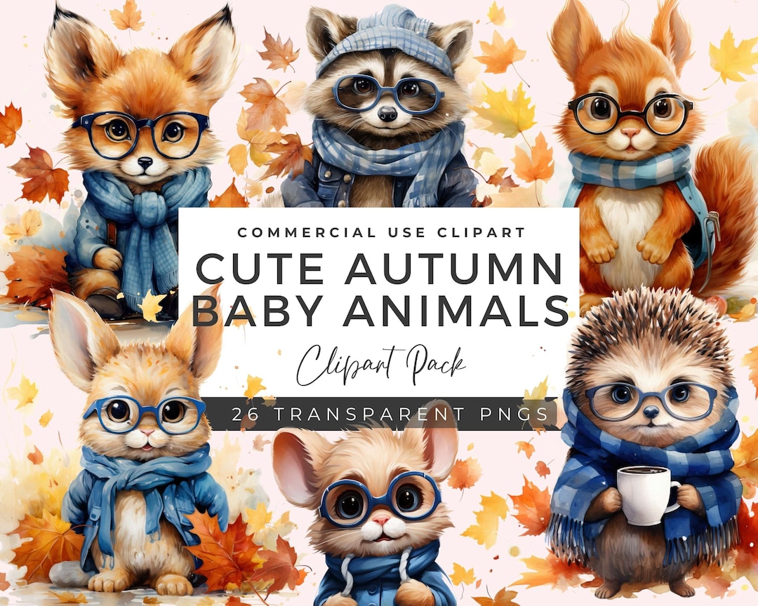 Cute Fall Animal Clipart Bundle | Woodland Animal Clipart | Autumn ...