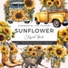 24 PNG Watercolor Sunflower Clipart Bundle | Sunflower Clipart | Boho ...