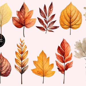 Cute Fall Animal Clipart Bundle | Woodland Animal Clipart | Autumn ...