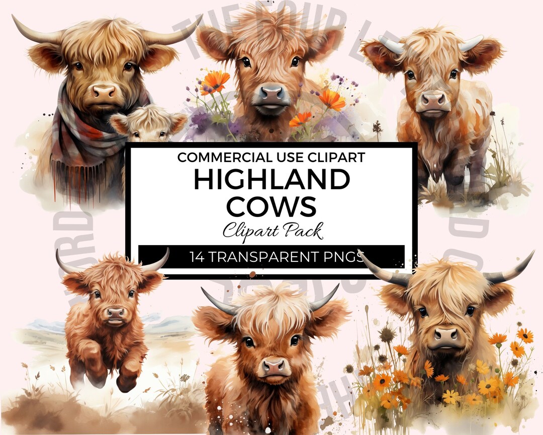 Watercolor Highland Cow Clipart | Baby Highland Cow PNG | Farm Animal ...