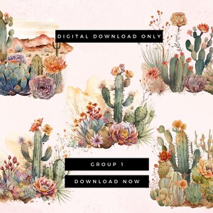 20 PNG Watercolor Cactus Floral Clip Art Bundle | Cactus PNG | Cacti ...