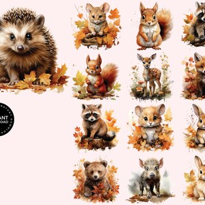 Cute Fall Animal Clipart Bundle | Woodland Animal Clipart | Autumn ...