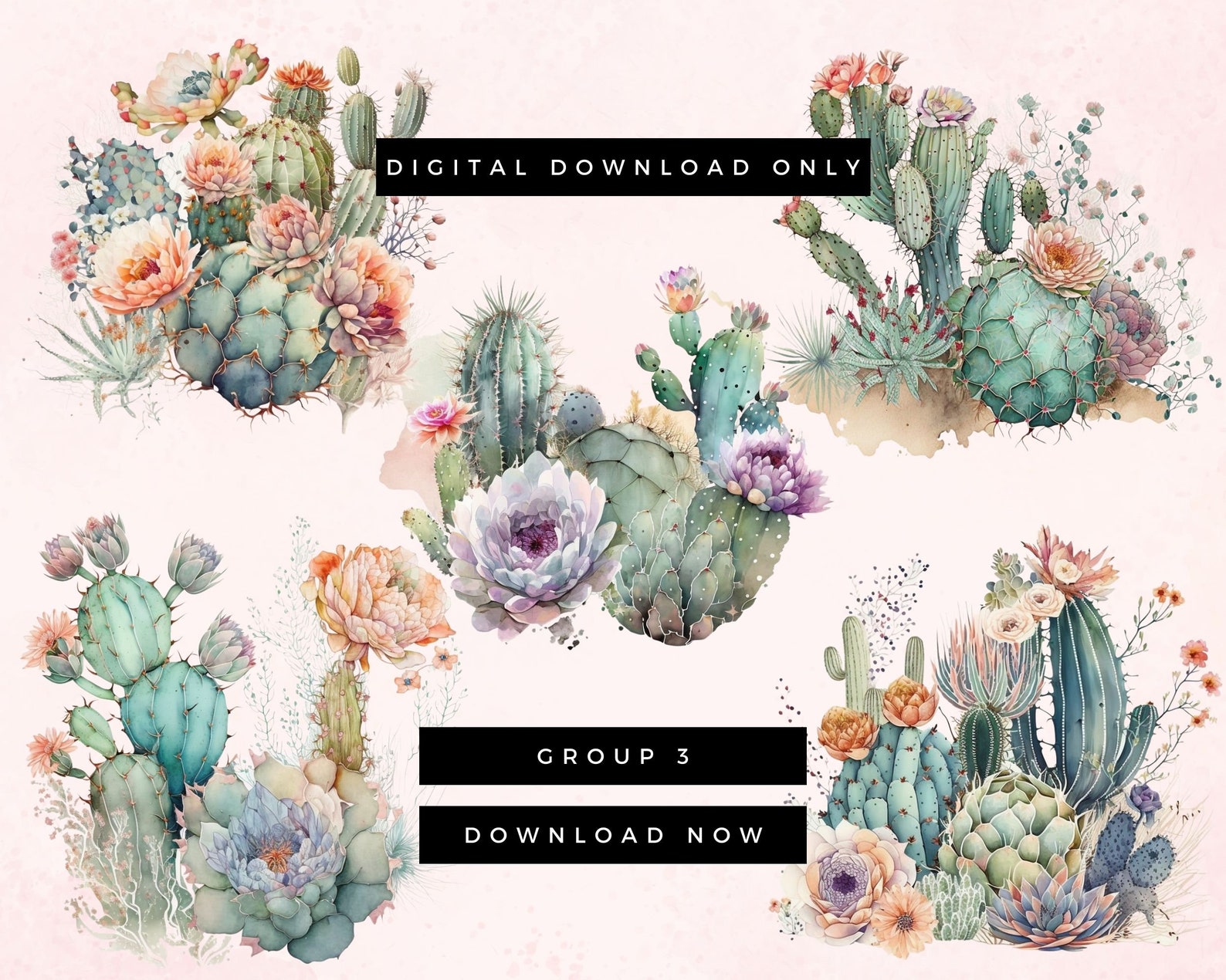 20 PNG Watercolor Cactus Floral Clip Art Bundle | Cactus PNG | Cacti ...