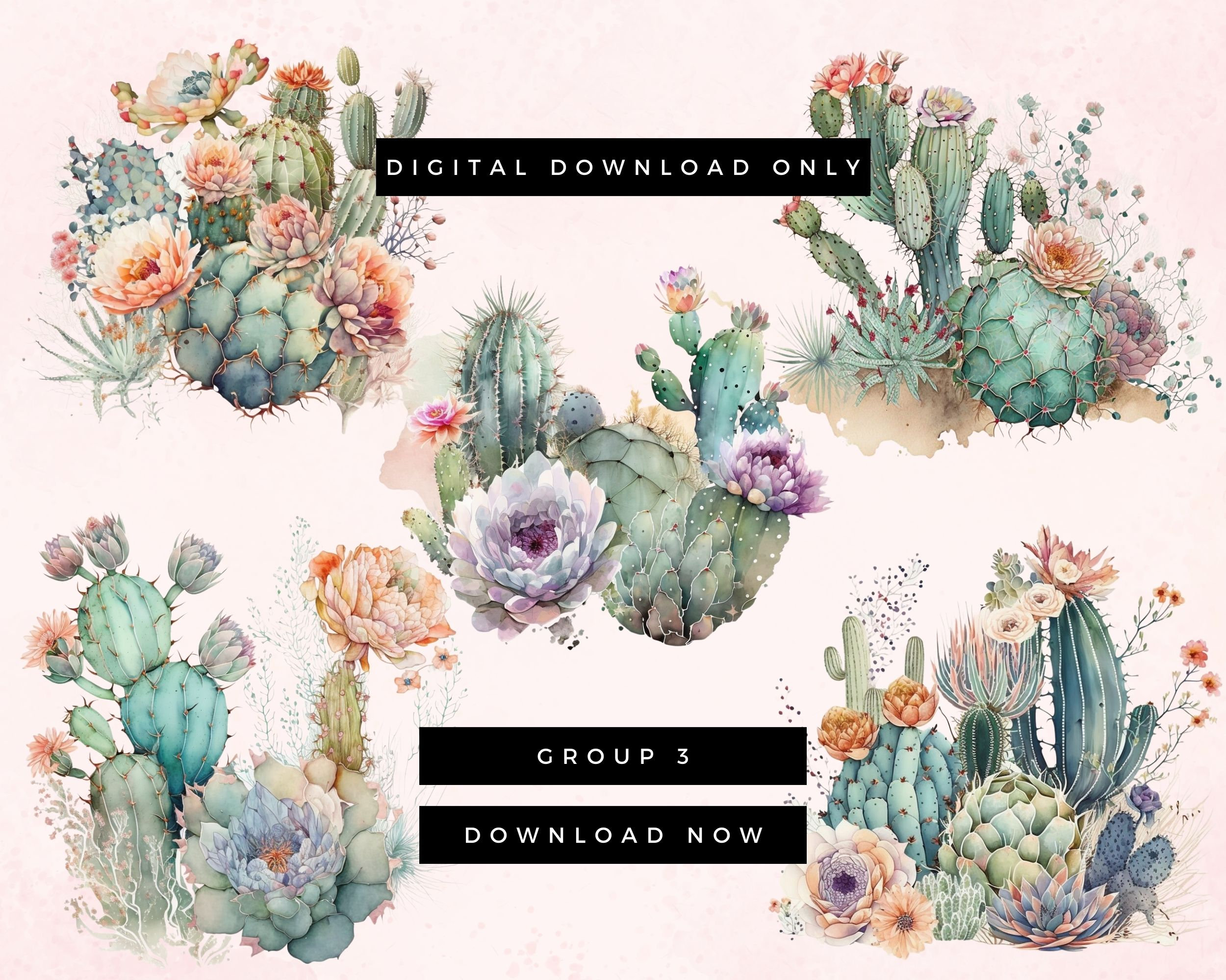 20 PNG Watercolor Cactus Floral Clip Art Bundle | Cactus PNG | Cacti ...