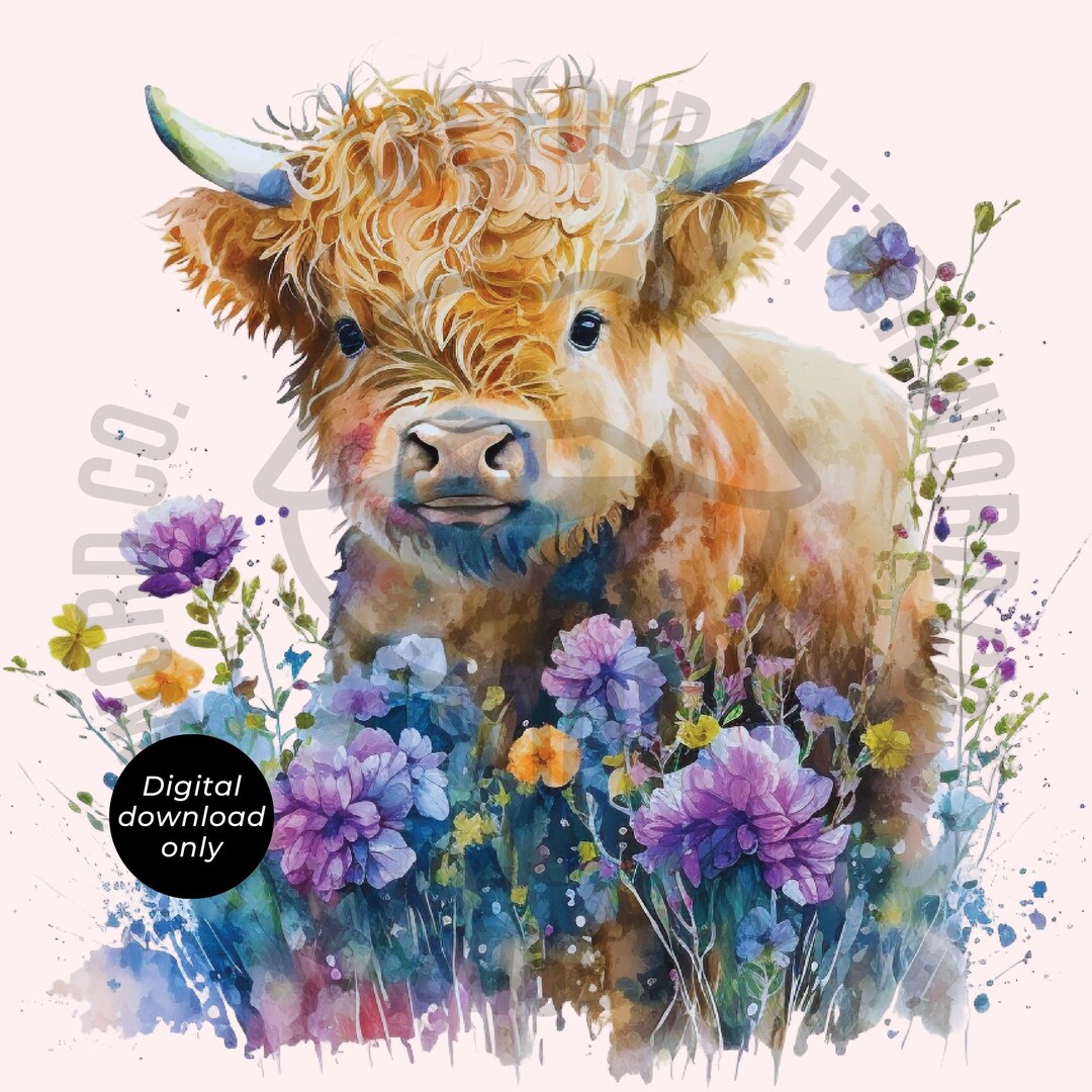 Highland Cow Sublimation Design | Highland Calf Sublimation PNG | Long ...