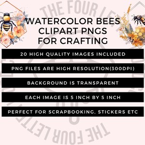 Watercolor Honey Bee Clipart Bundle | Bee Illustrations | Cute Bees ...
