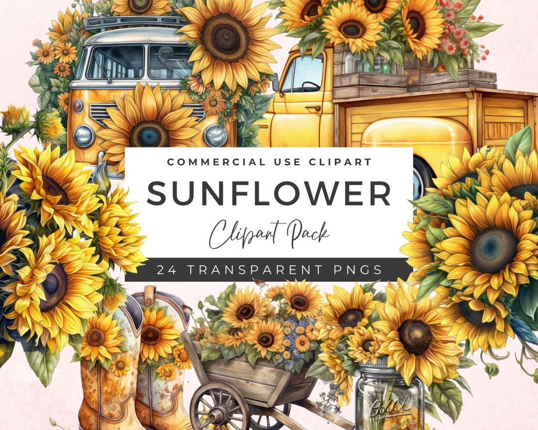 24 PNG Watercolor Sunflower Clipart Bundle | Sunflower Clipart | Boho ...