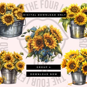 24 PNG Watercolor Sunflower Clipart Bundle | Sunflower Clipart | Boho ...