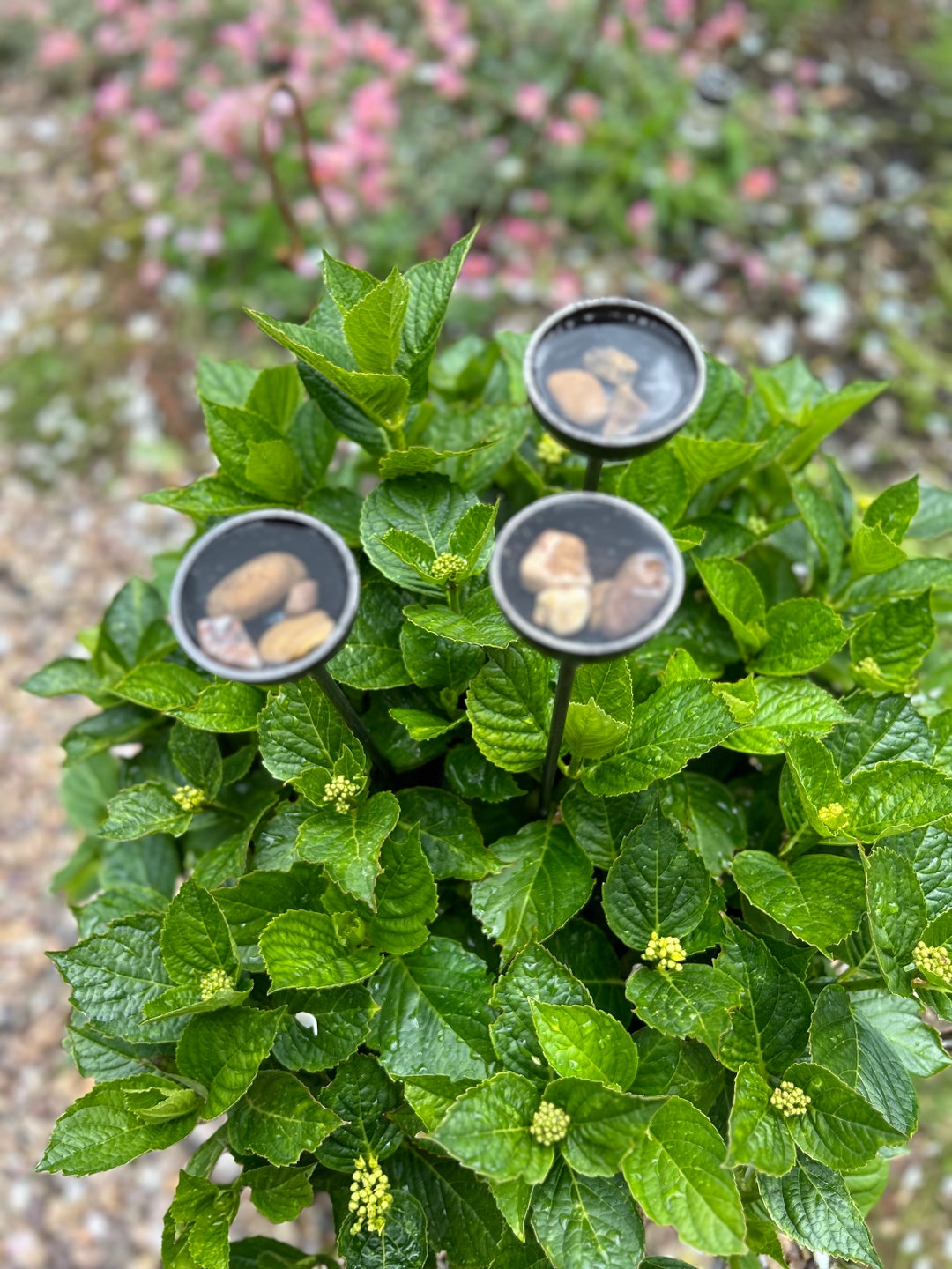 3 Mini Rain Catchers, Insect Waterer, Feeders Etc Rusty Trio - Etsy