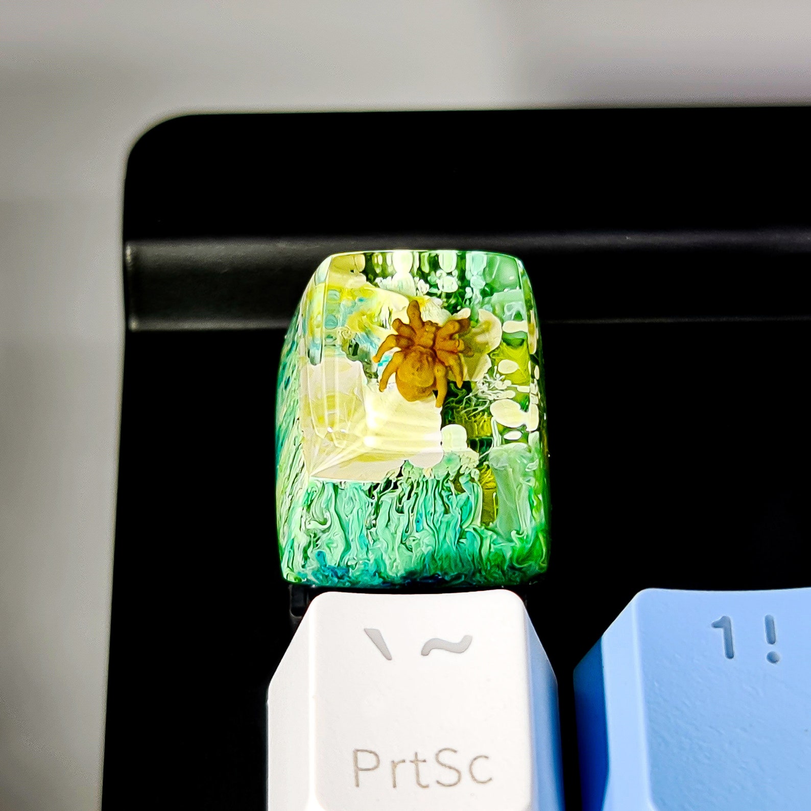 Spider Keycap Halloween Keycap Horror Keycaps SA Profile - Etsy