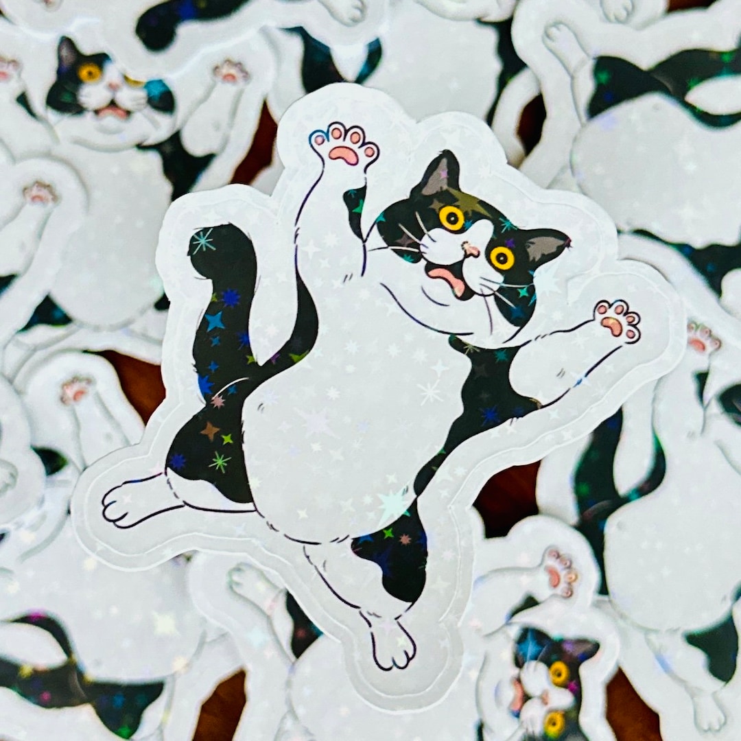 Fat Cat Sticker, Lazy Kitty Cat Sticker, Black and White Cat Sticker ...