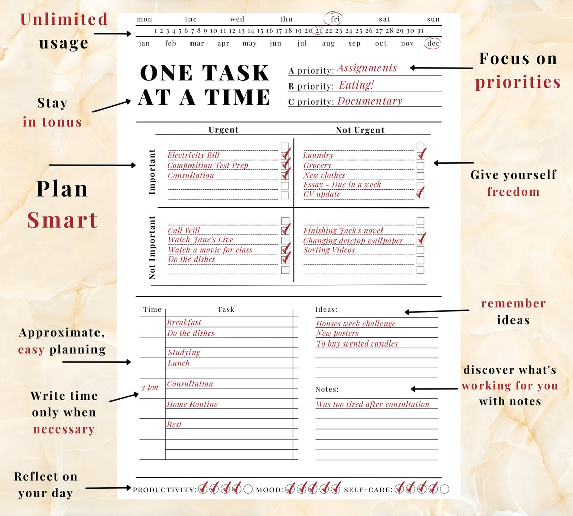 ADHD Daily Planner | Priority Square Printable | Adult ADHD ...