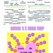 Learn English Bundle PDF Idioms Vocabulary Grammar - Etsy
