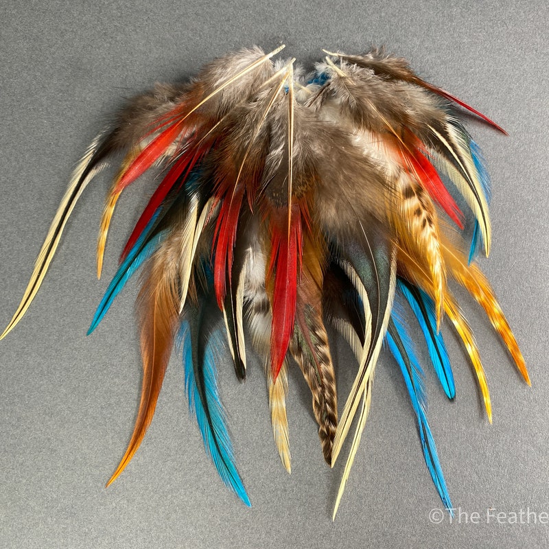 Rooster Feather - Etsy