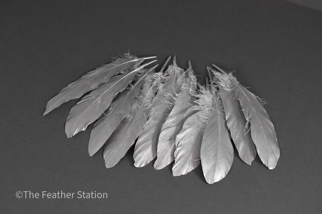 Large Silver Feathers, 20-30 Cm, 8-12 Inch, Painted Feathers Home Vase ...