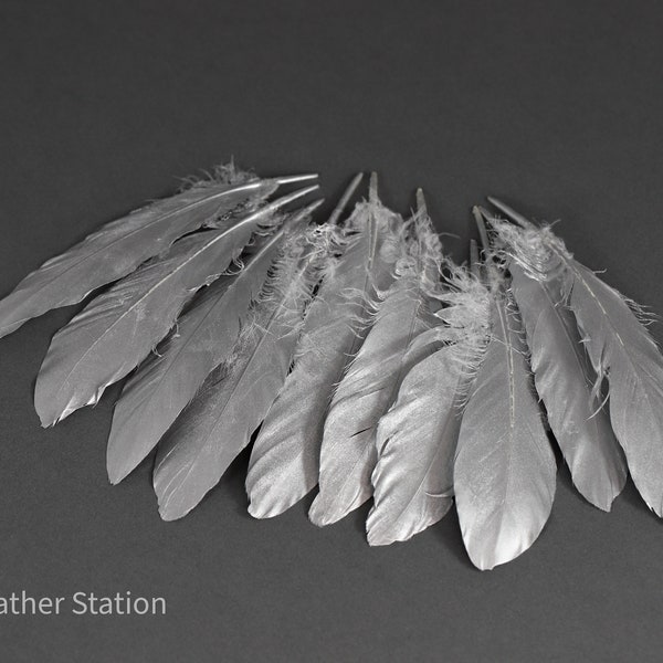 Large Feather Art - Etsy