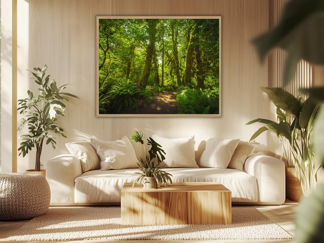 Forest Poster Rainforest – Hoh Rainforest Wall Art – Nature Picture ...