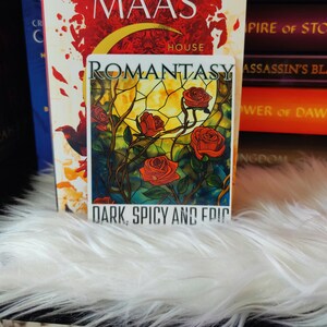 Romantasy Reader, Large Laminated Bookmarks Book Lover Gifts for ...