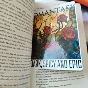 Romantasy Reader, Large Laminated Bookmarks Book Lover Gifts for ...