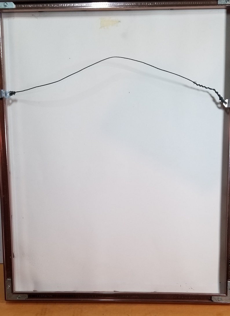 Dorothy May Strait 'cherokee Nation Artist' Framed Painting of Native ...