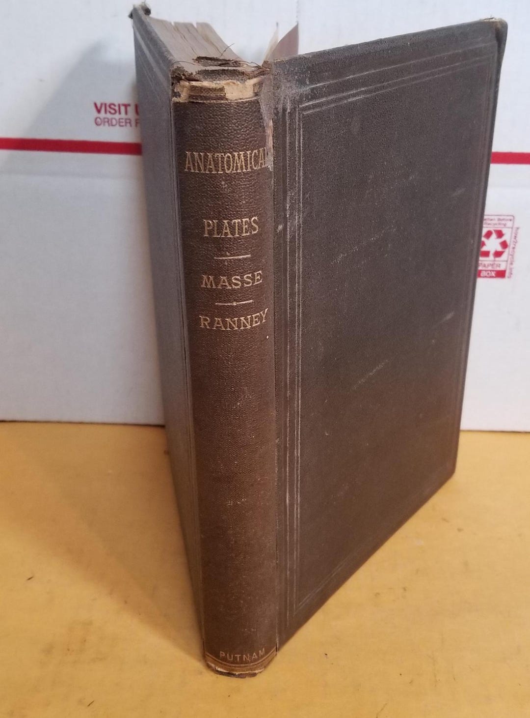 Anatomical Plates for the Essentials of Anatomy by Ambrose L. Ranney G ...