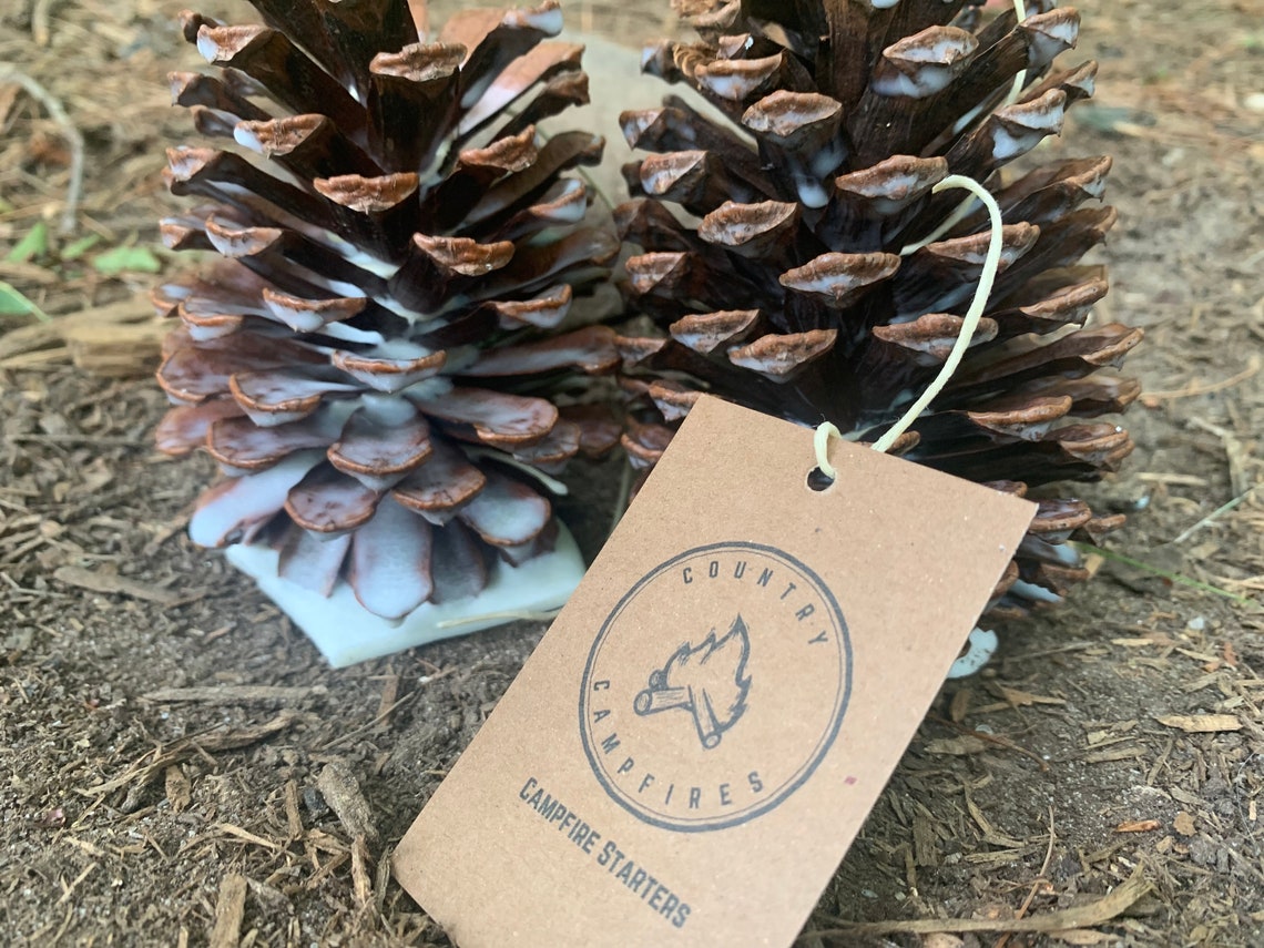 Large Pine Cone Fire Starter - Etsy