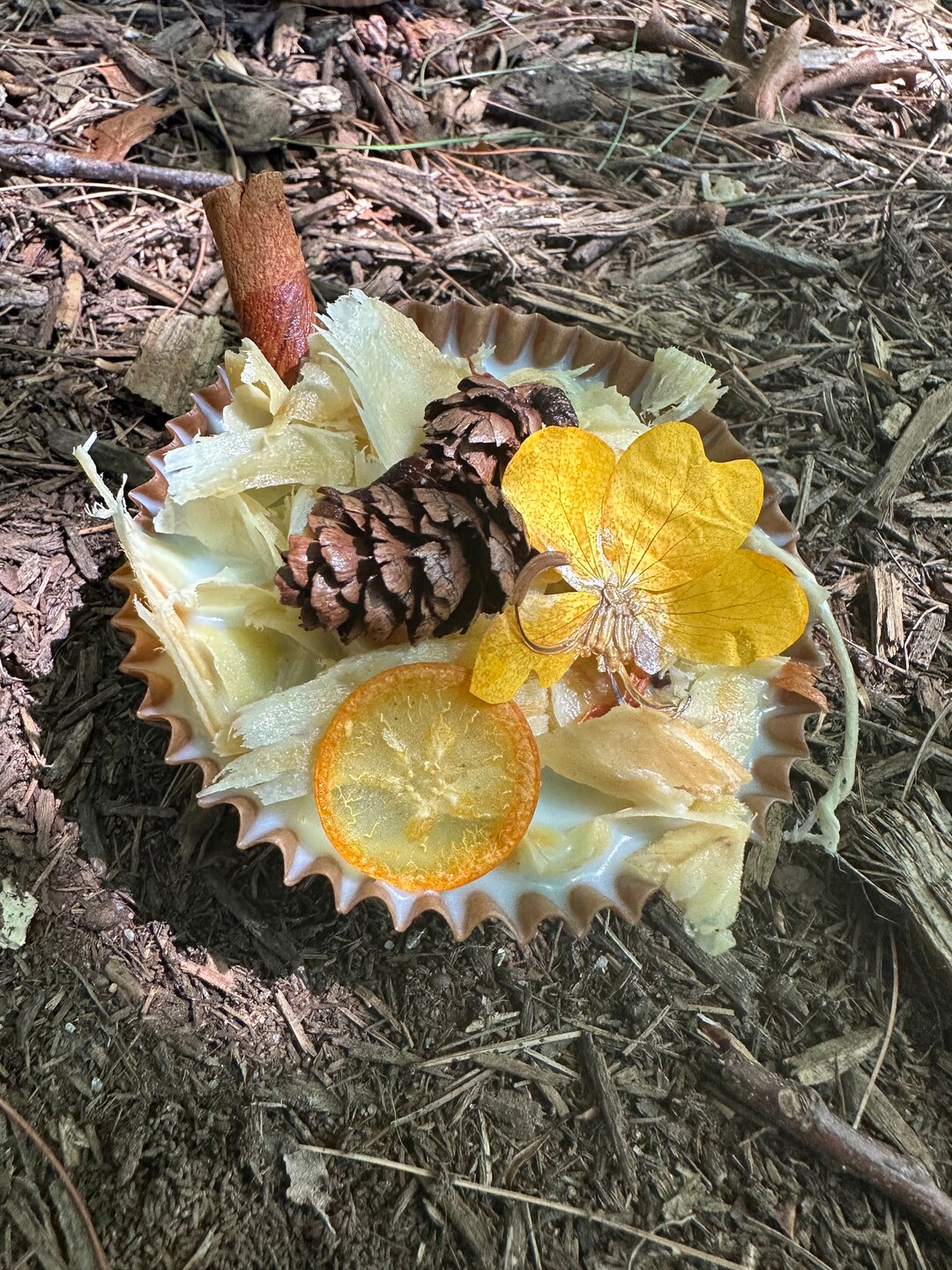 Cinnamon and Cloves Cupcake Fire Starter - Etsy