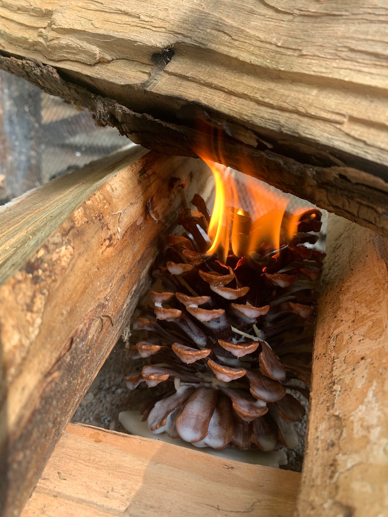 Large Pine Cone Fire Starter - Etsy