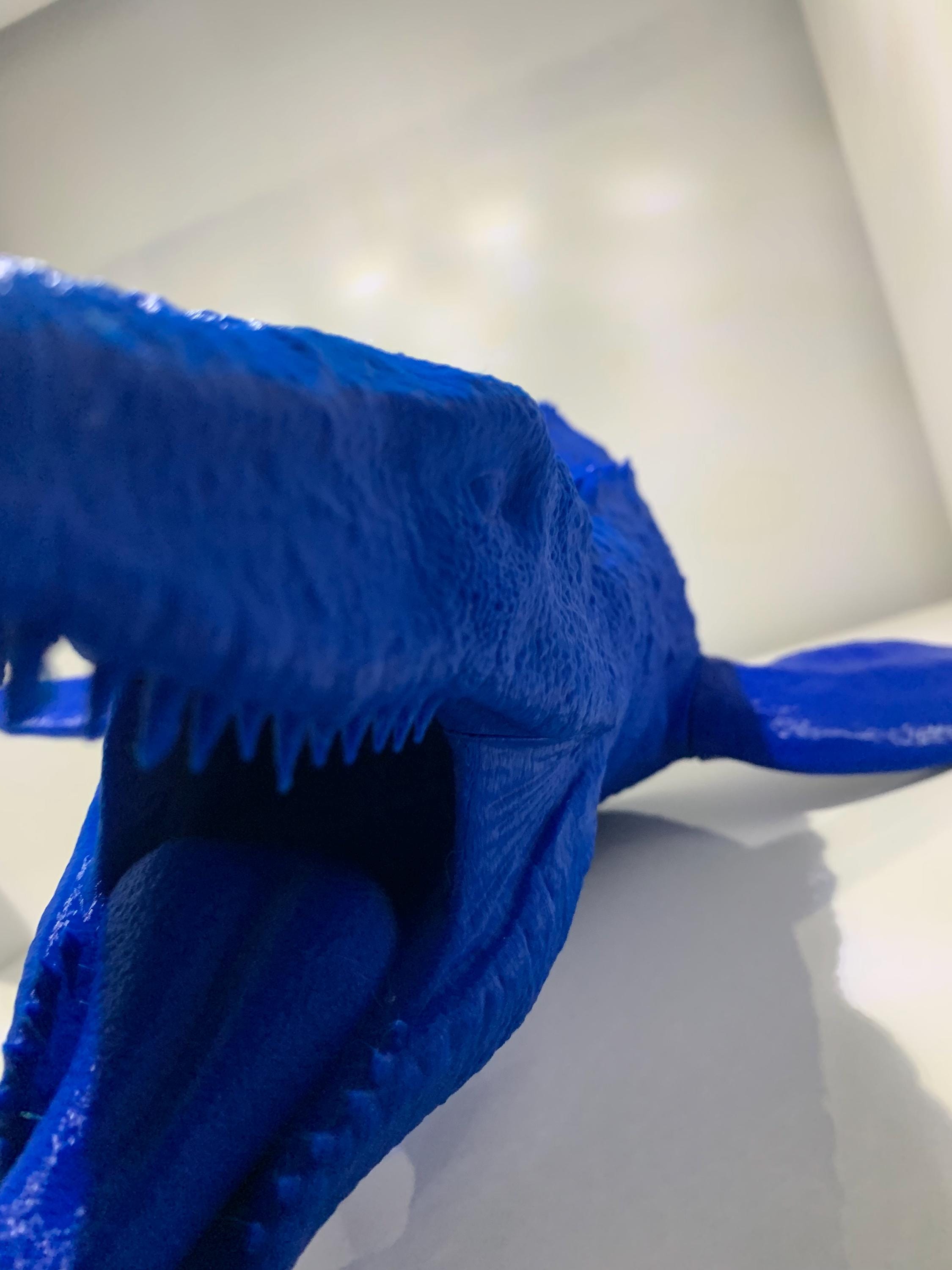 Mosasaurus Bust STL File - 3D Printable Dinosaur STL - - Etsy