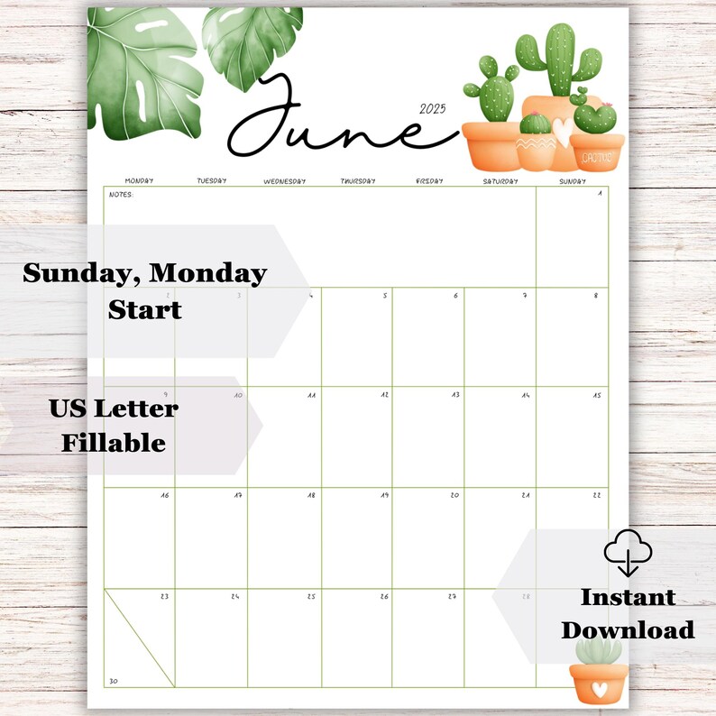 Editable 2025 June Calendar, June Monthly Planner, Summer Planner ...