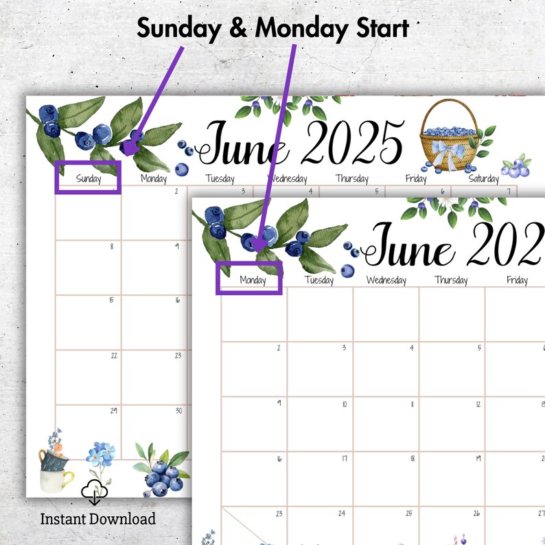 EDITABLE June 2025 Calendar, School Calendar, Fillable June Calendar ...