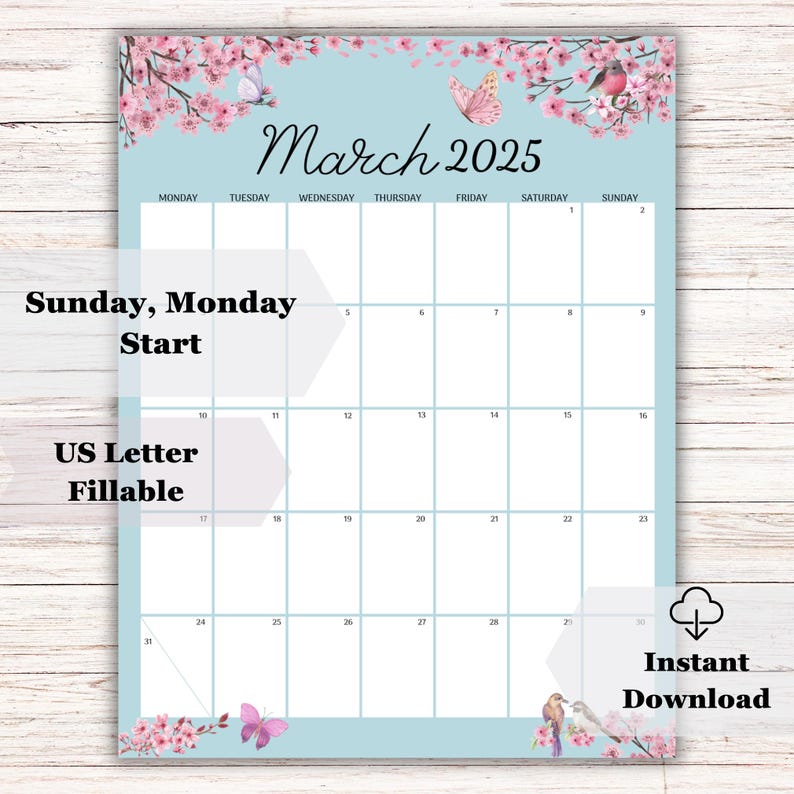 Editable 2025 March Calendar, Homeschool Planner, Beautiful Spring, St ...