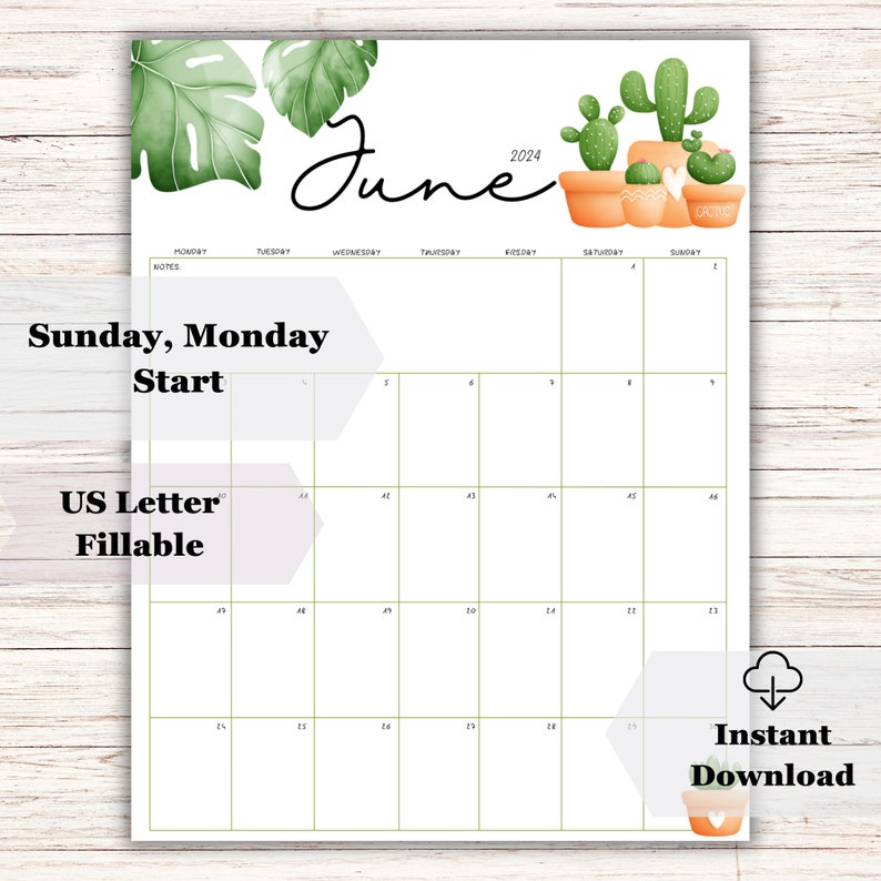 Editable 2024 June Calendar, June Monthly Planner, Summer Planner ...