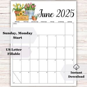 Rustic Floral June 2025 Printable Calendar, US Letter Size, Fillable ...