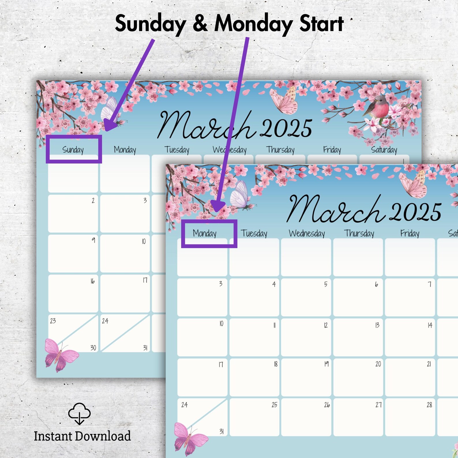 Editable 2025 March Calendar, Beautiful Spring, Cute Birds, Butterflies ...