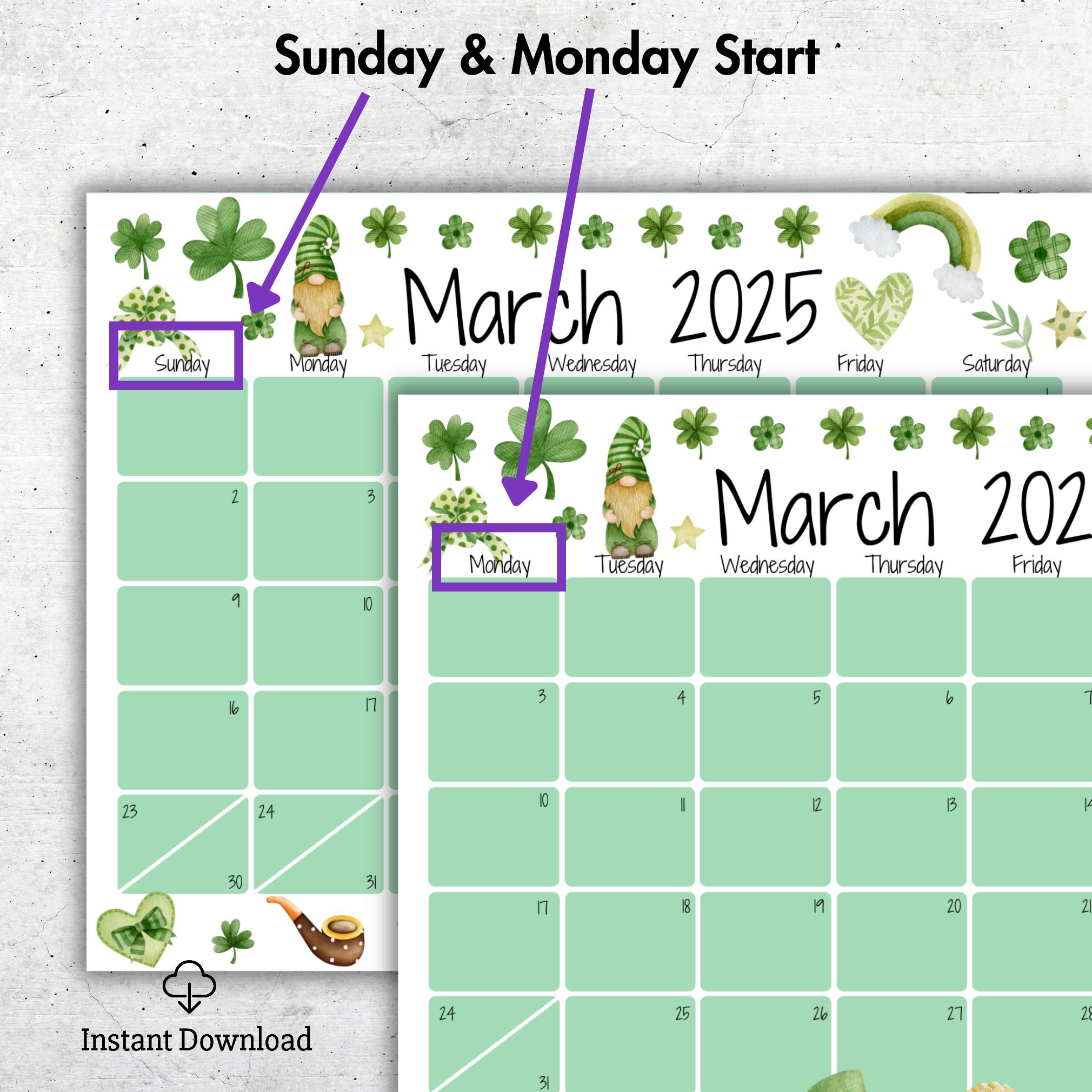 EDITABLE March 2025 Calendar, Printable Planner, Fillable Calendar ...