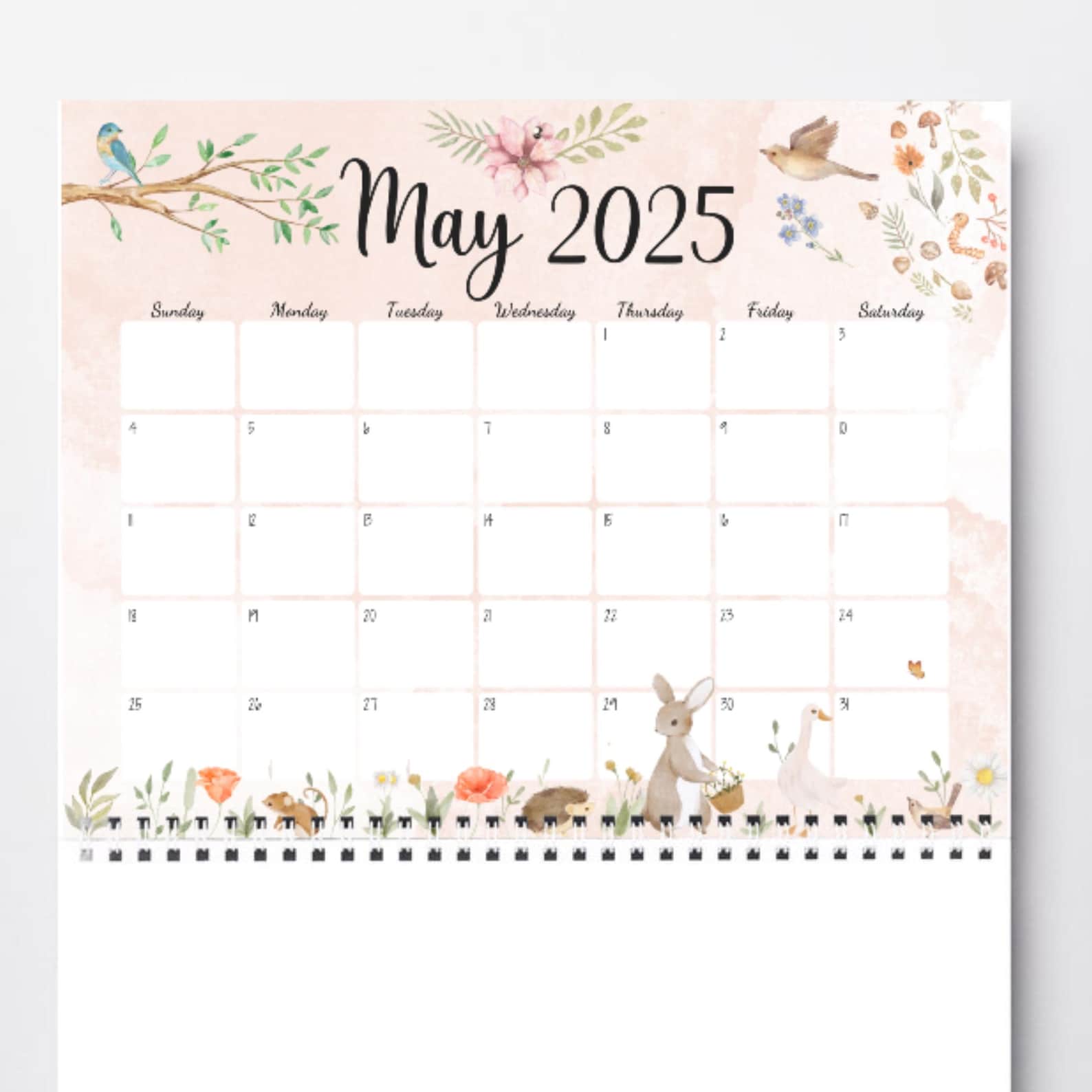 EDITABLE May 2025 Calendar, Printable May 2025 Calendar, Fillable ...