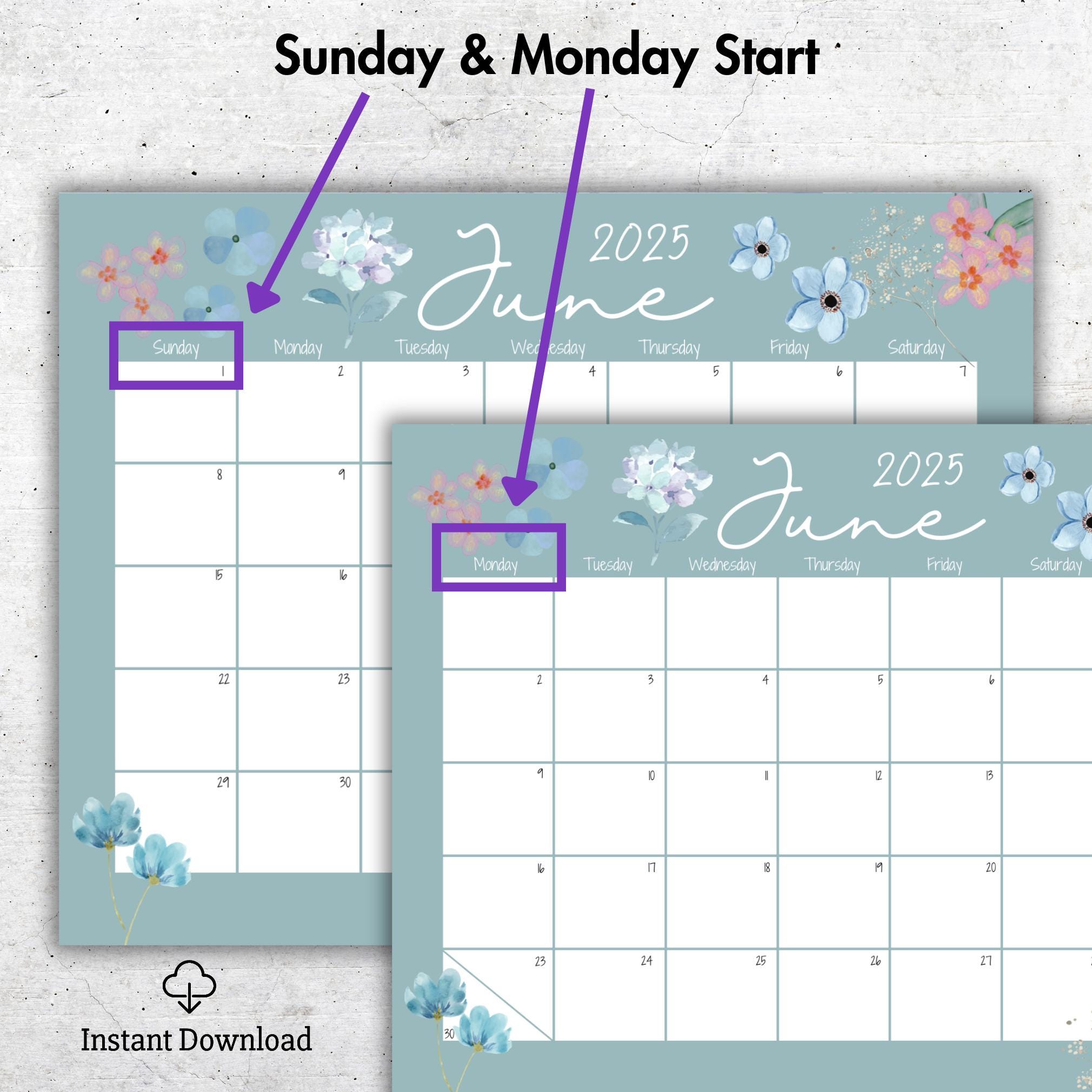 EDITABLE June 2025 Calendar, Beautiful Colorful Flowers, Printable ...