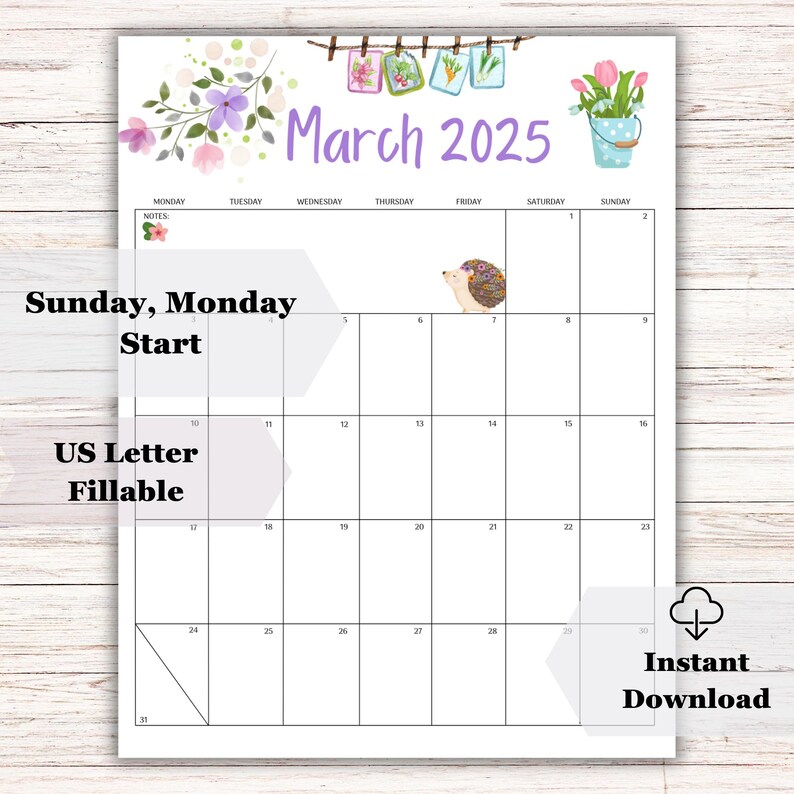 Editable March 2025 Calendar, March 2025 Printable, Fillable Calendar ...