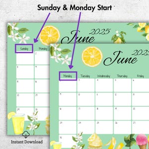 June 2025 Printable Calendar, Lemon Themed Monthly Planner, Digital ...