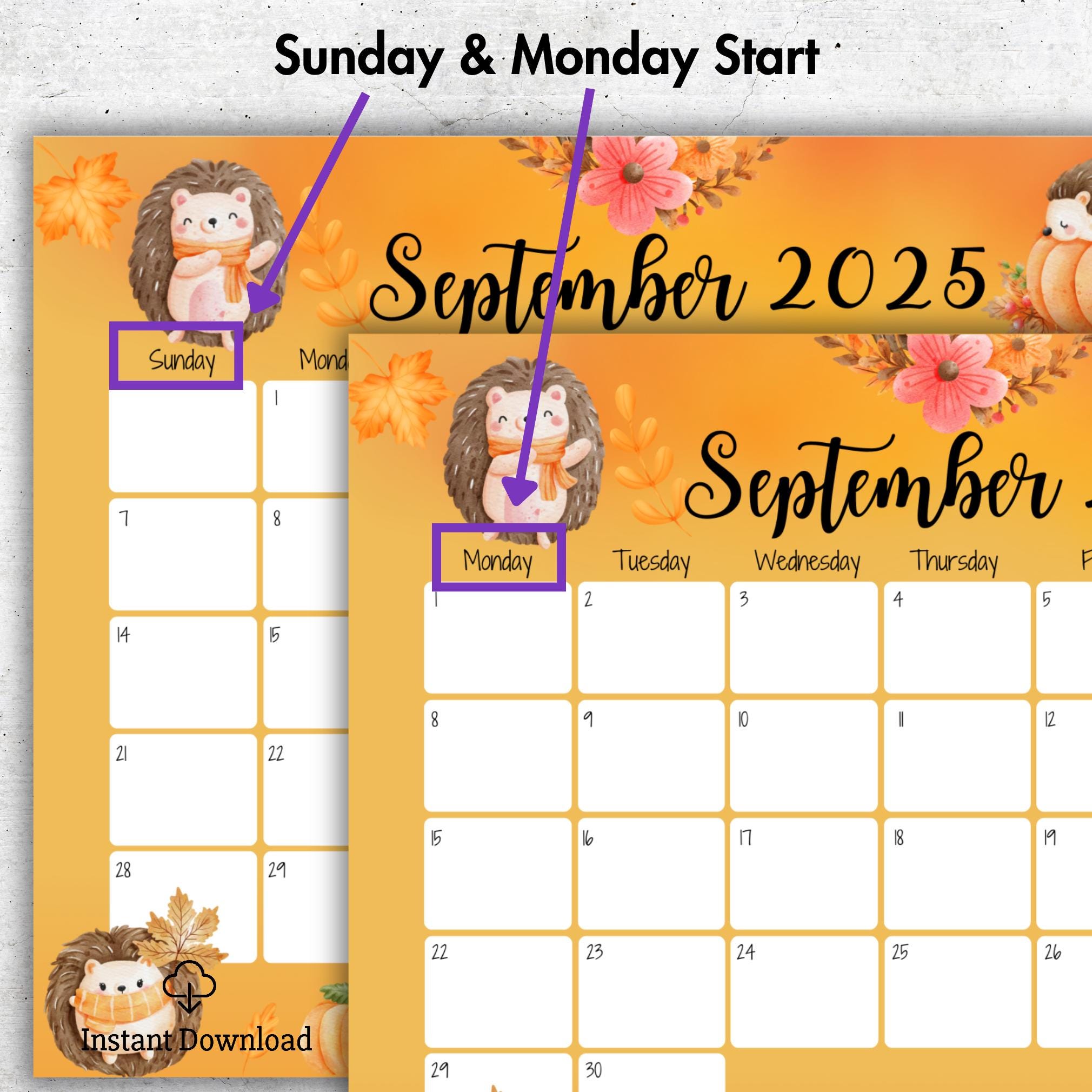 EDITABLE September 2025 Calendar, Kids Weekly Schedule, Homeschool ...